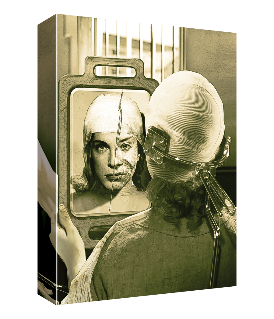 Stolen Face Limited Collector's Edition – Hammer Films